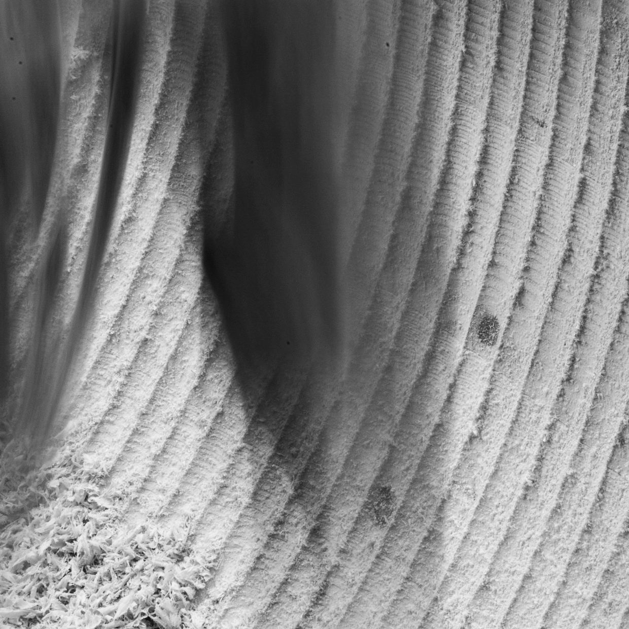 Free Form Fabrication scale 1:1